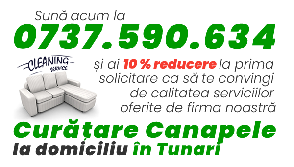 Curatare Canapele la domiciliu in Tunari, judetul Ilfov